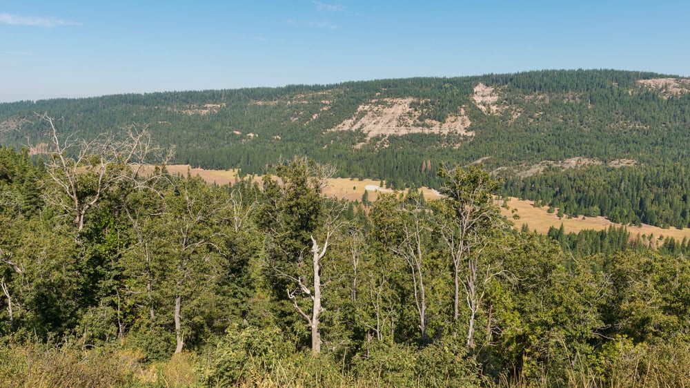 Identificar é valorizar | BUPi